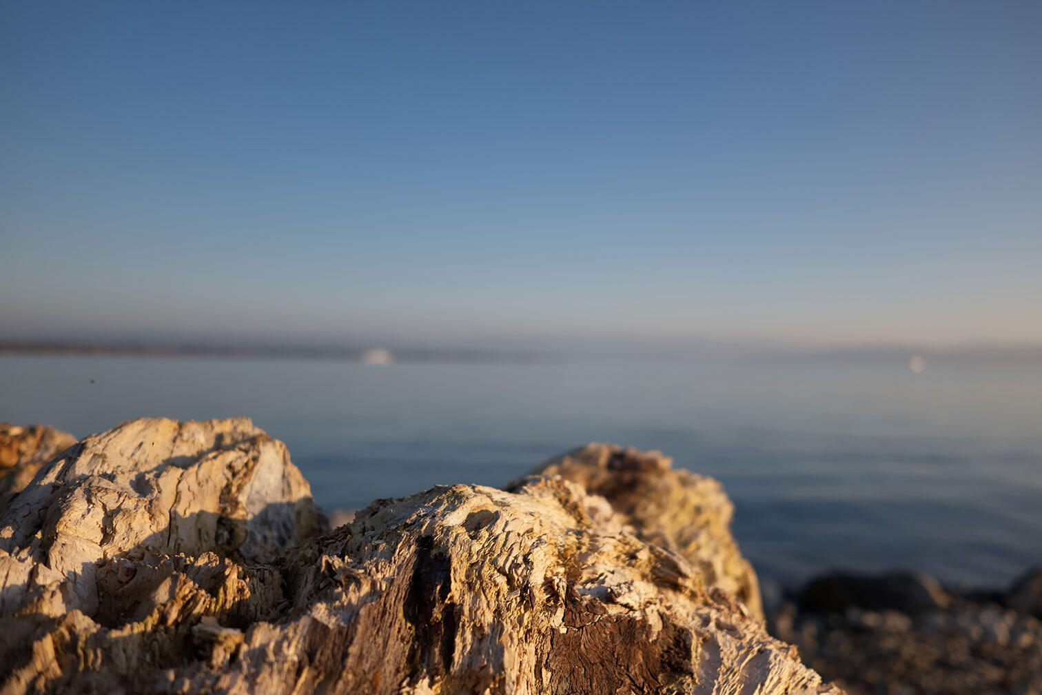 Leica Elmarit-TL 18 f/2.8 ASPH., silver | Leica Camera JP