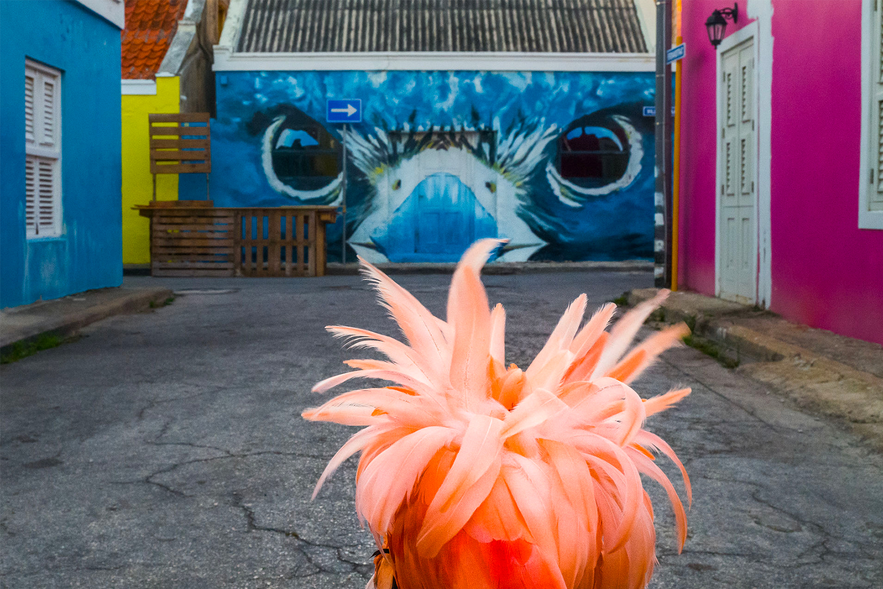 The World Deserves Witnesses - The Roommates of the World Deserve ...