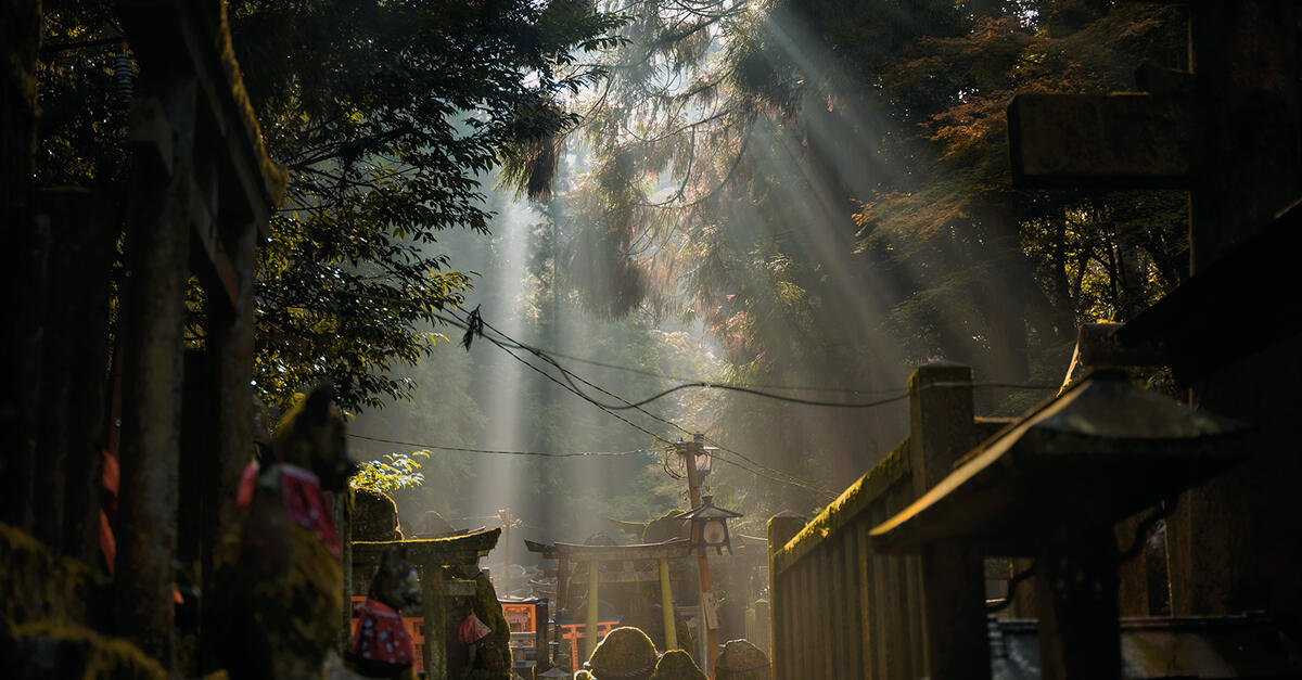 【Leica Gallery Kyoto】Yuto Yamada Photo Exhibition: “JAPANISM” | Leica ...