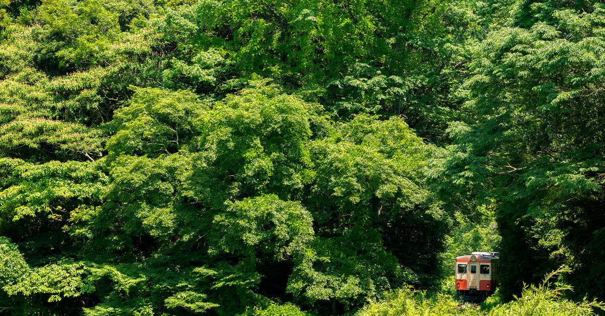 Seiya Nakai Photo Exhibition: “Scenic train rides with LEICA” | Leica ...