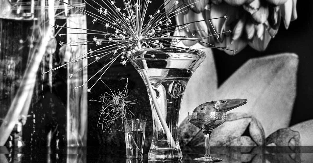 “Vera Mercer | Still. Life”